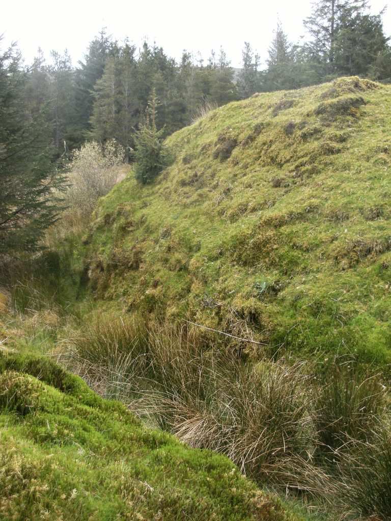 Liosanna - Irish Fairy Forts - Lora O'Brien - Irish Author & Guide